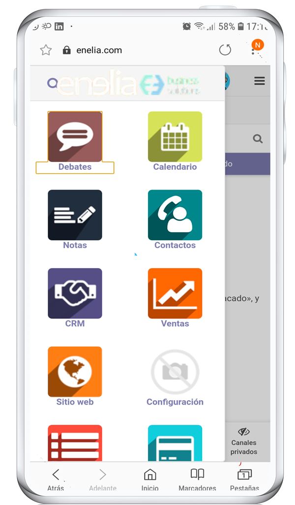 odoo_ventas | enelia